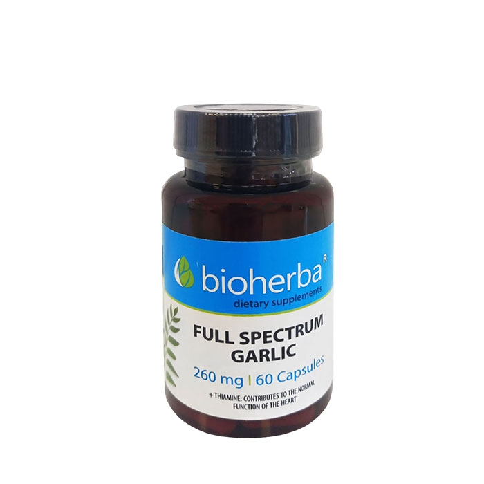 БИОХЕРБА ЧЕСЪН + ТИАМИН капсули 60 броя / BIOHERBA FULL SPECTRUM GARLIC ...