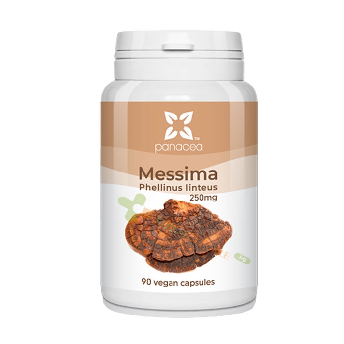 ПАНАЦЕЯ МЕСИМА ЕКСТРАКТ капсули 250 мг 90 броя / PANACEA MESSIMA ...